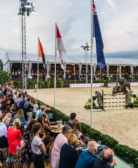 Homepage - Stephex Group